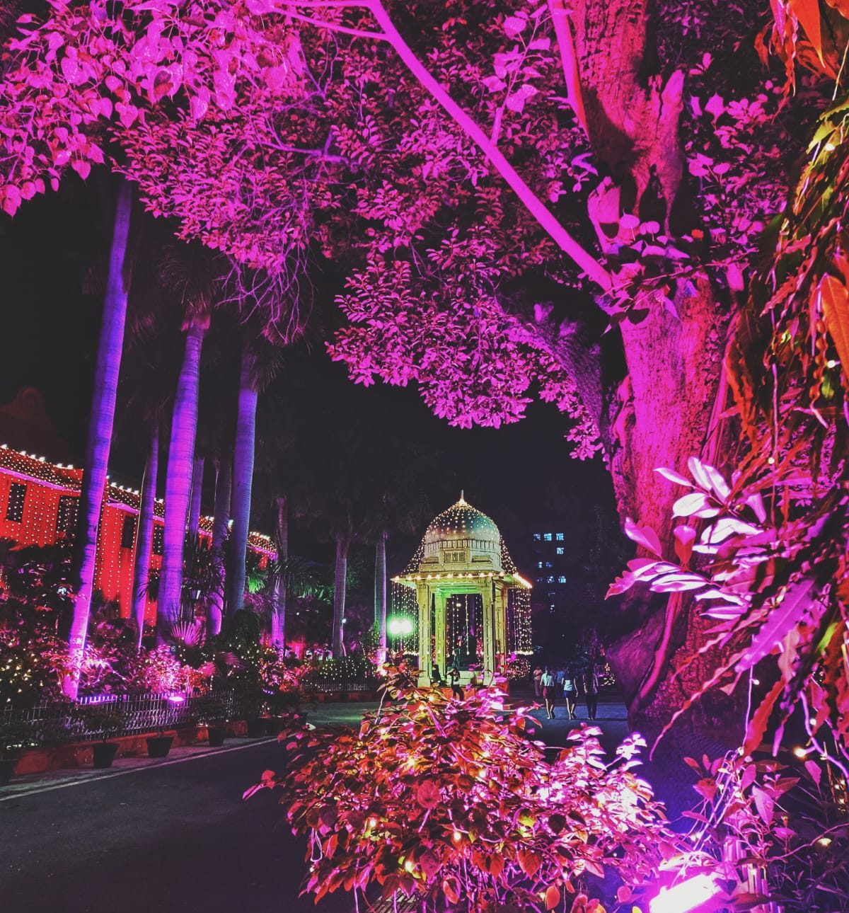 LHMC Student's Union